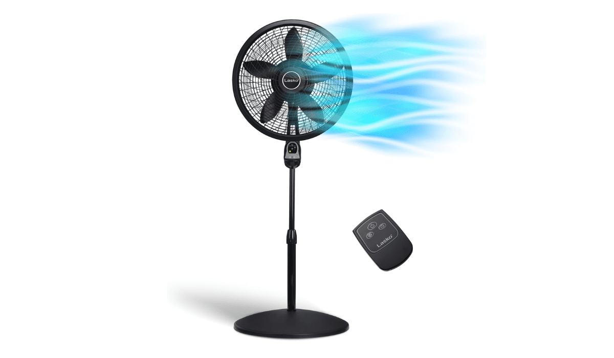 The Best Oscillating Fan For Home And Office Use In 2024 - Courtneys World