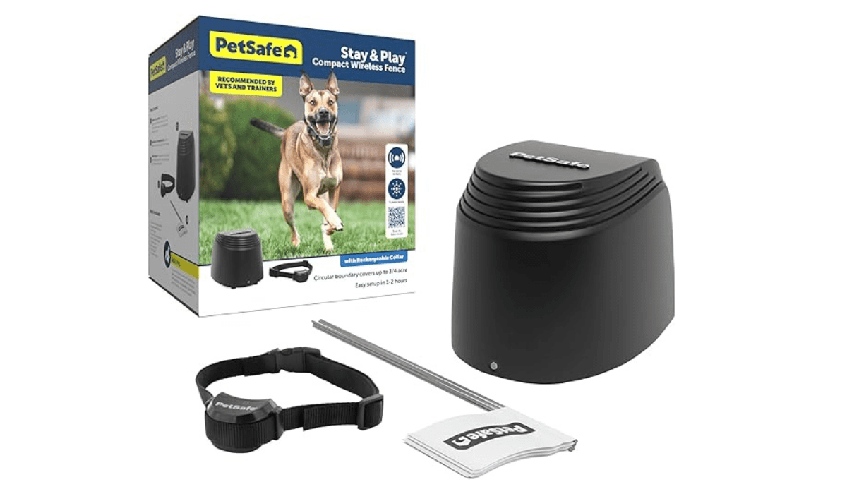 Best Wireless Dog Fence: Top 8 Picks For 2024 - Courtneys World